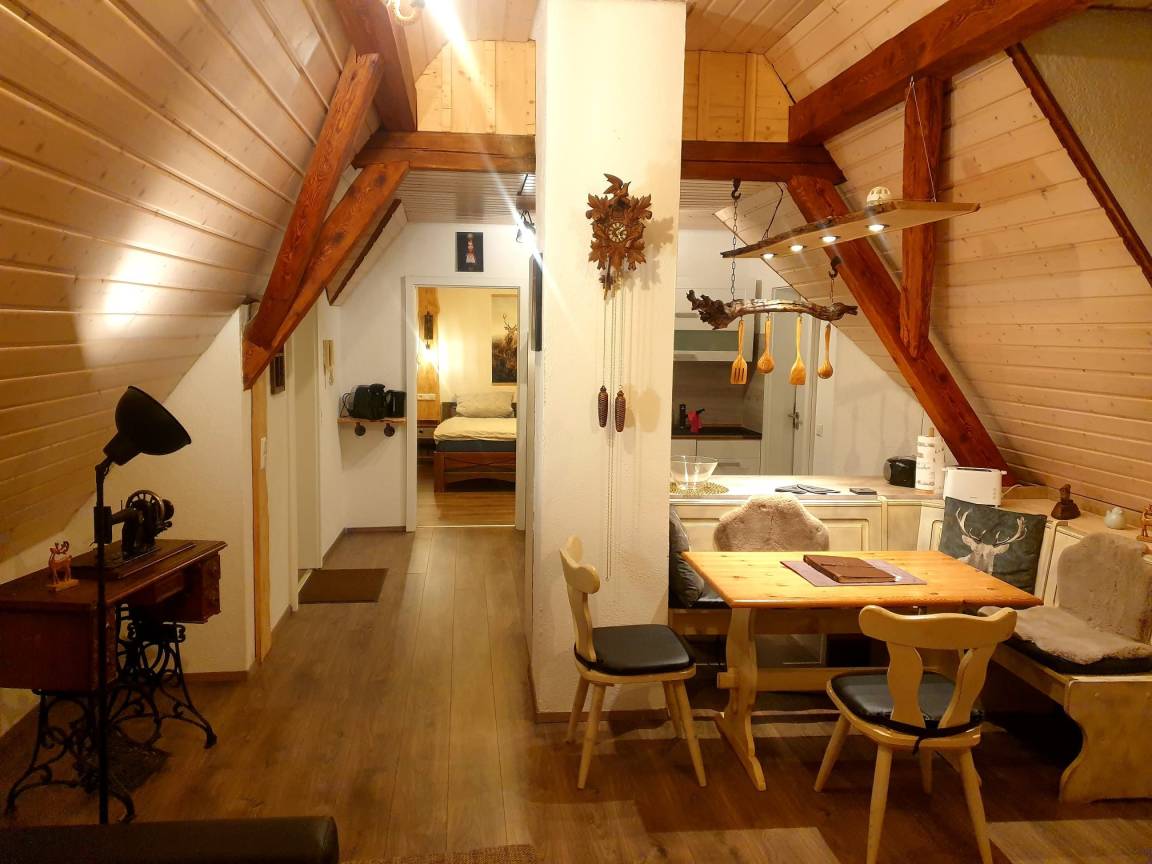 50 M² Apartamento ∙ 1 Habitación ∙ 4 Huéspedes - Kappelrodeck