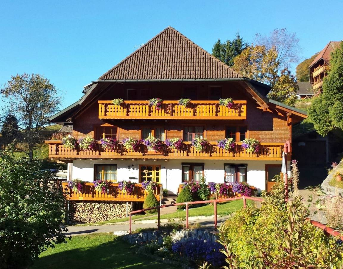 58 M² Ferienwohnung ∙ 2 Schlafzimmer ∙ 5 Gäste - Todtnauberg