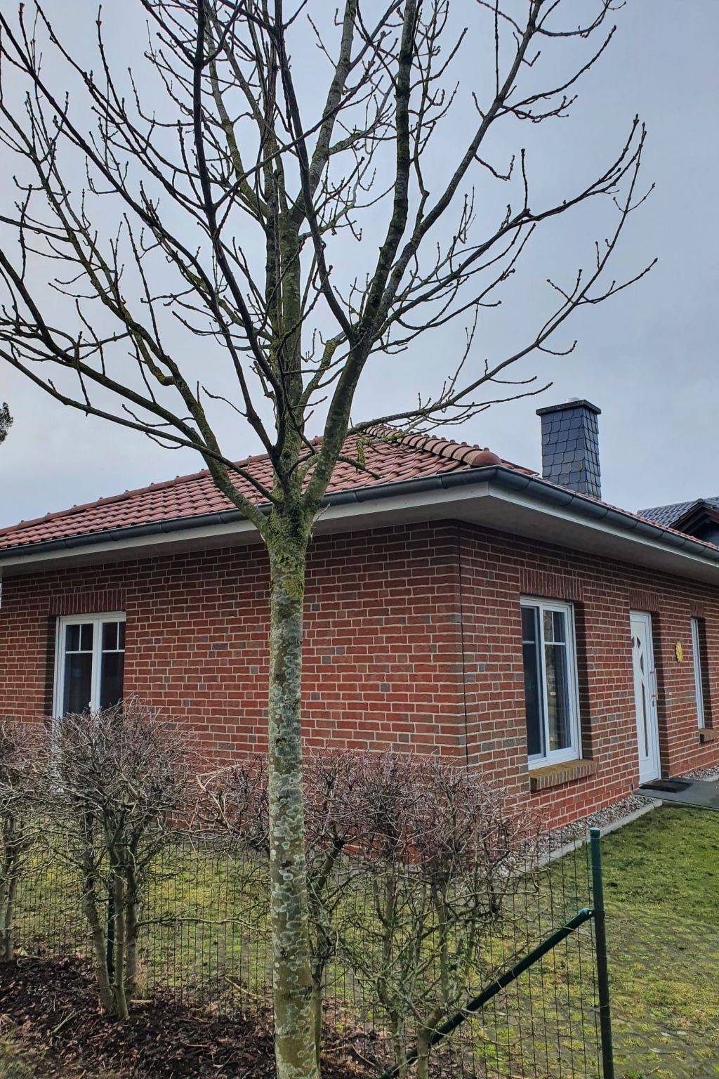55 M² Huis ∙ 2 Slaapkamers ∙ 4 Gasten - Barth