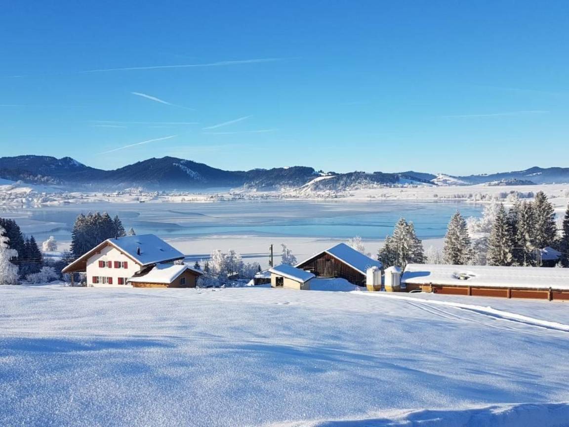 85 M² Ferienwohnung ∙ 1 Schlafzimmer ∙ 2 Gäste - Rapperswil-Jona