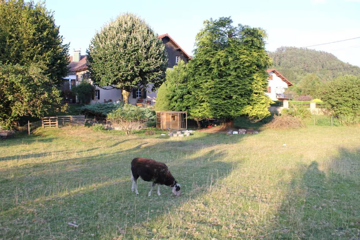 65 M² Cottage ∙ 2 Chambres ∙ 5 Personnes - Bussang