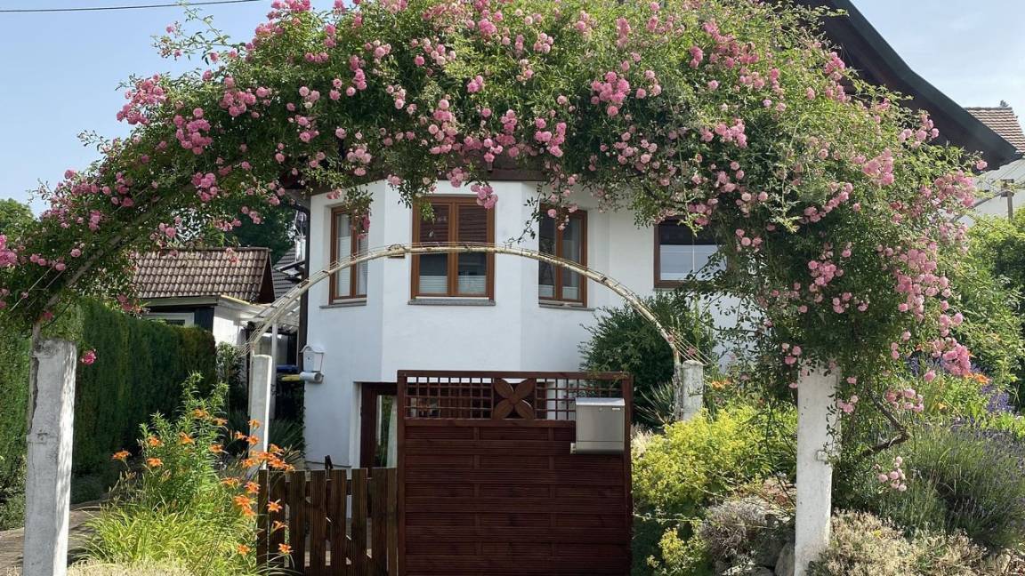 47 M² Ferienwohnung ∙ 4 Gäste - Bad Waldsee
