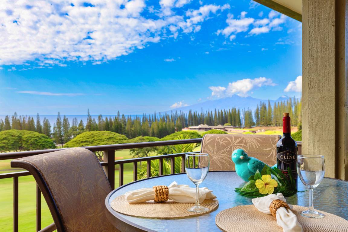 84 M² Condo ∙ 1 Bedroom ∙ 2 Guests - Kapalua, HI