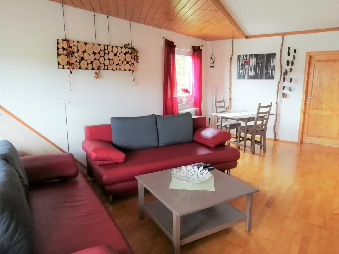 70 M² Apartment ∙ 1 Bedroom ∙ 4 Guests - Hornberg