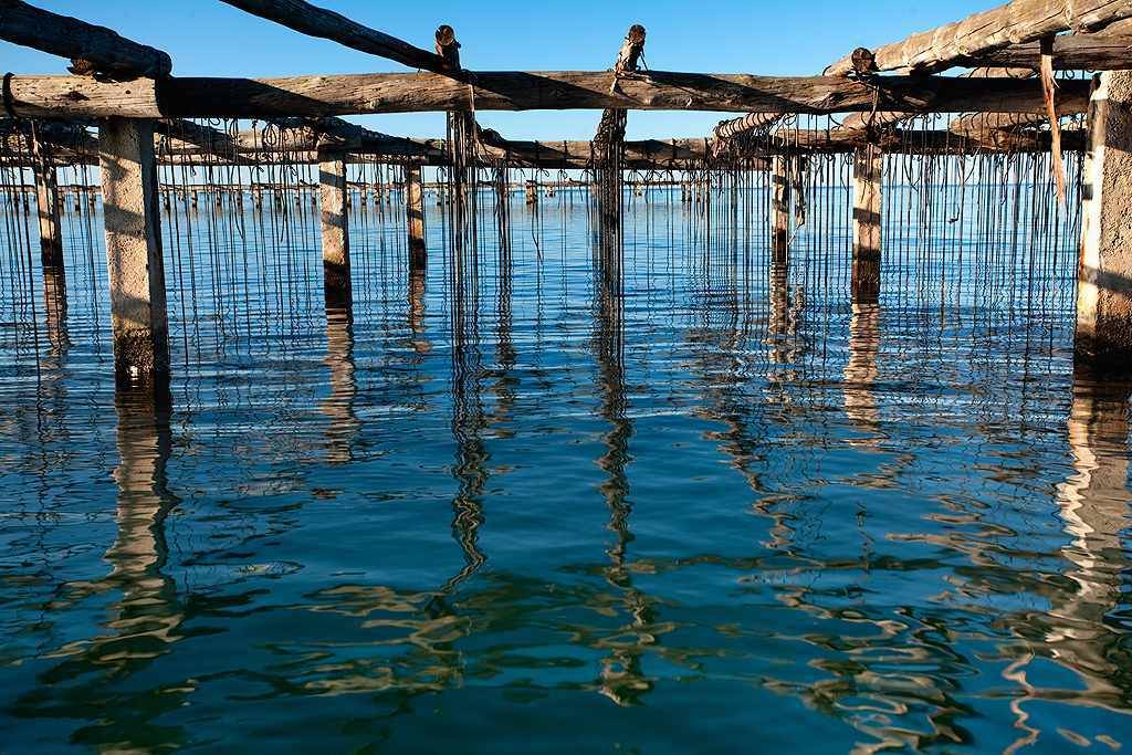 90 M² Apartamento ∙ 2 Habitaciones ∙ 6 Huéspedes - Amposta