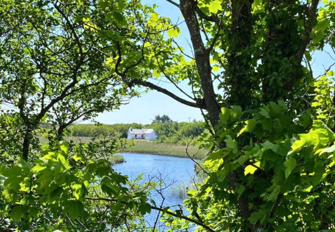 139 M² House ∙ 3 Bedrooms ∙ 7 Guests - County Galway