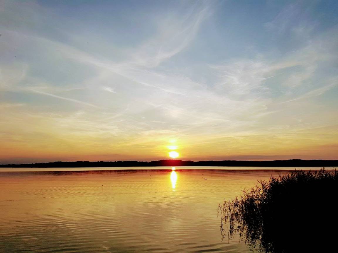 50 M² Bungalow ∙ 2 Bedrooms ∙ 4 Guests - Malchin