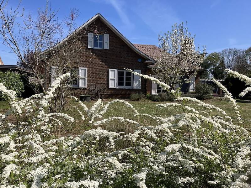 Maison De Vacances ∙ 4 Chambres ∙ 15 Personnes - Breda