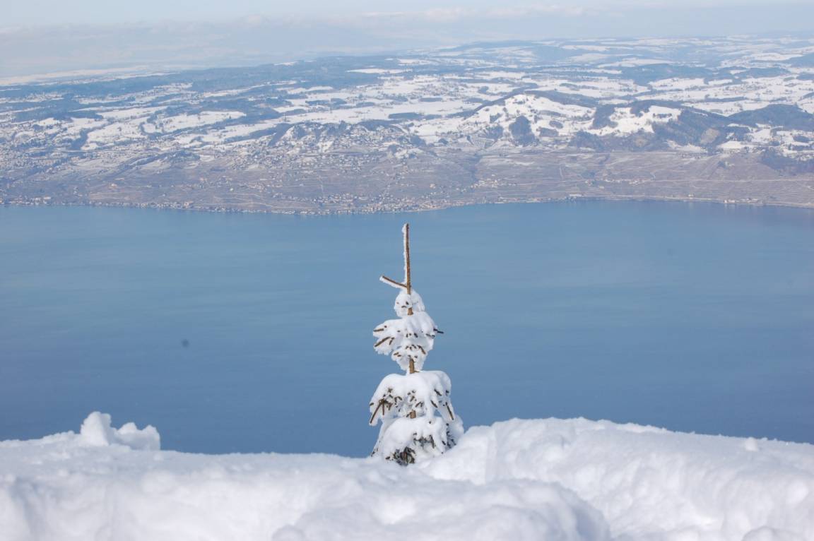 65 M² Apartamento ∙ 1 Habitación ∙ 6 Huéspedes - Lugrin