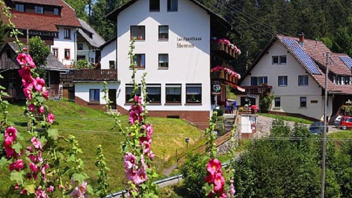 Hotel ∙ 2 Gości - Todtmoos