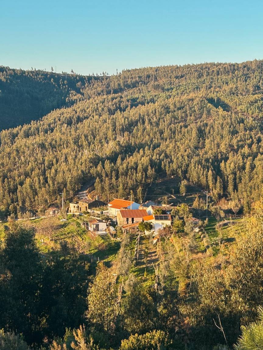 40 M² Casa De Campo ∙ 1 Habitación ∙ 2 Huéspedes - Madeira Island