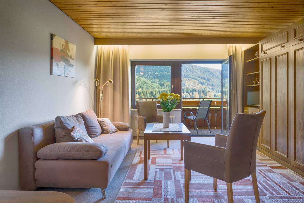 33 M² Apartment ∙ 1 Bedroom ∙ 2 Guests - Titisee-Neustadt