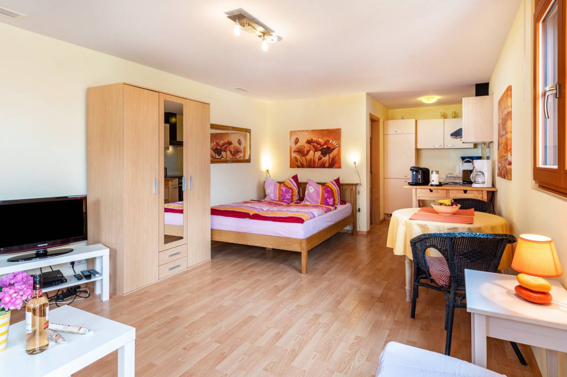 32 M² Ferienwohnung ∙ 1 Schlafzimmer ∙ 3 Gäste - Neuenburg am Rhein