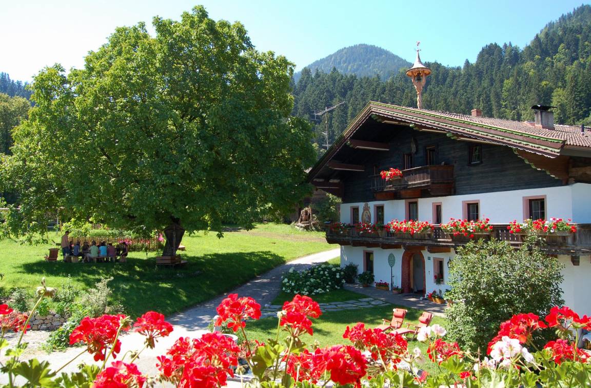 35 M² Studio ∙ 3 Gäste - Scheffau am Wilden Kaiser