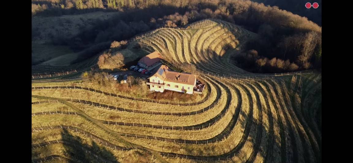 200 M² House ∙ 4 Bedrooms ∙ 12 Guests - Ptuj