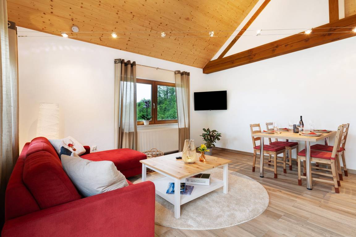 60 M² Ferienwohnung ∙ 1 Schlafzimmer ∙ 4 Gäste - Oberkirch