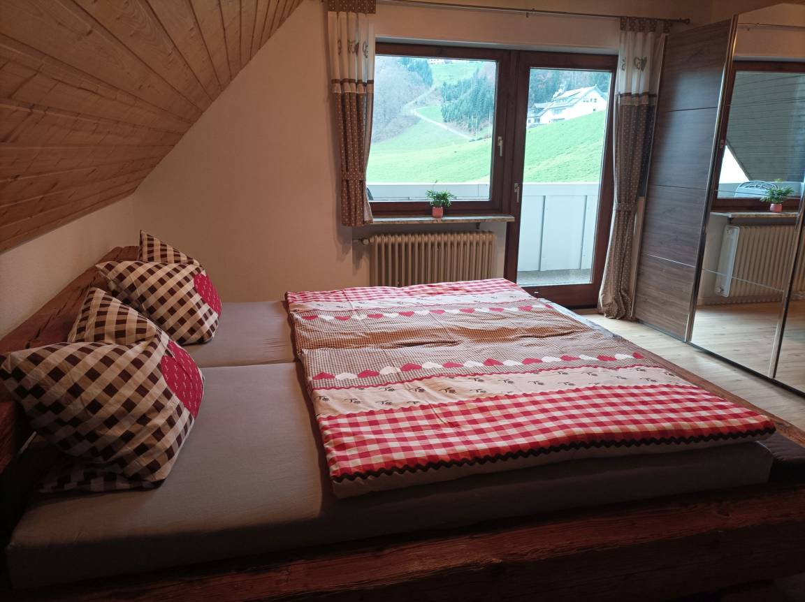 55 M² Ferienwohnung ∙ 1 Schlafzimmer ∙ 4 Gäste - Zell am Harmersbach