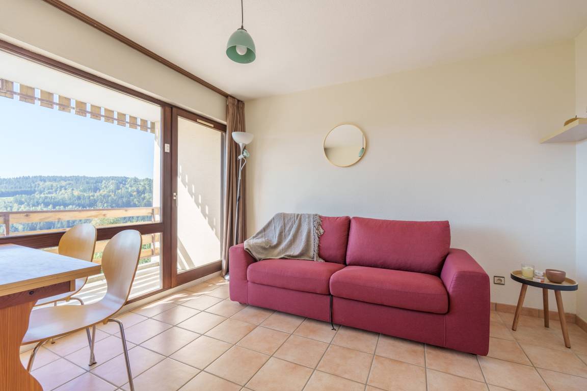 36 M² Appartement ∙ 3 Personnes - Remiremont