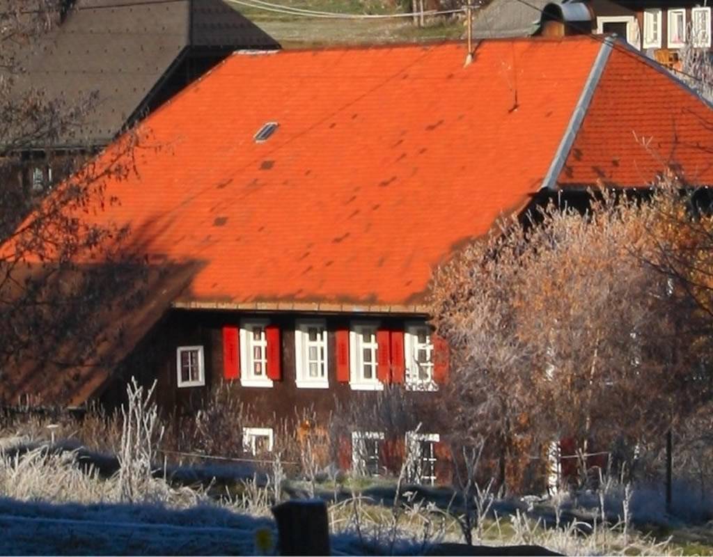 300 M² Ferienhaus ∙ 7 Schlafzimmer ∙ 14 Gäste - Schluchsee