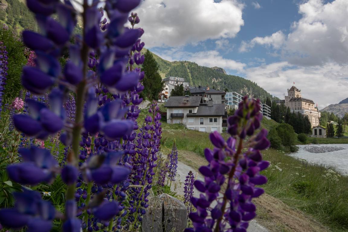 44 M² Apartment ∙ 2 Guests - Madulain