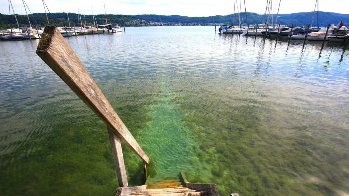 59 M² Appartement ∙ 2 Chambres ∙ 4 Personnes - Lac de Constance