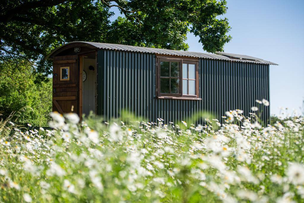 Zelt ∙ 1 Schlafzimmer ∙ 2 Gäste - East Wittering