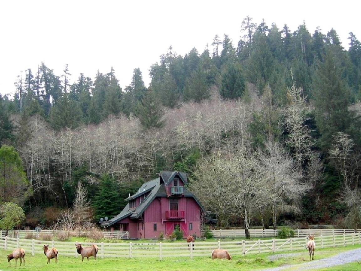 House ∙ 1 Bedroom ∙ 5 Guests - Prairie Creek Redwoods State Park, Orick