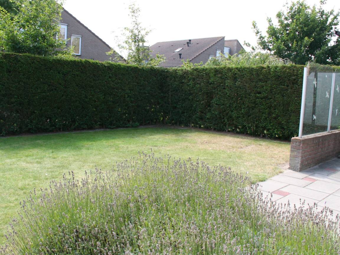 105 M² Ferienhaus ∙ 4 Schlafzimmer ∙ 6 Gäste - Nieuwvliet