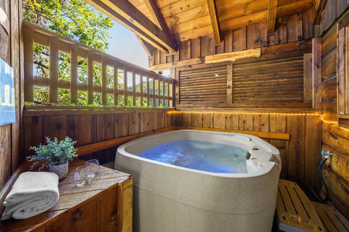 Apartment ∙ 1 Bedroom ∙ 2 Guests - Dollywood, Pigeon Forge