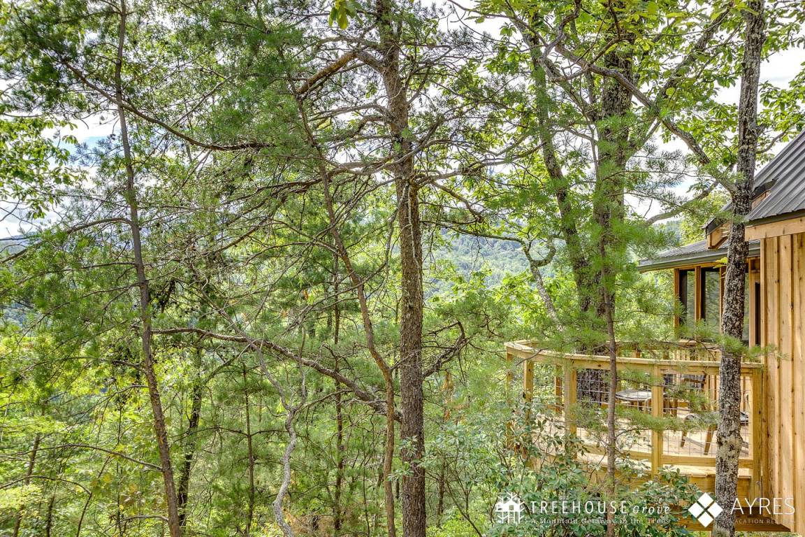 Camping ∙ 4 Bedrooms ∙ 10 Guests - Gatlinburg, TN