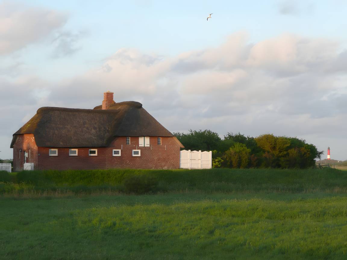 80 M² Ferienhaus ∙ 2 Schlafzimmer ∙ 3 Gäste - Pellworm