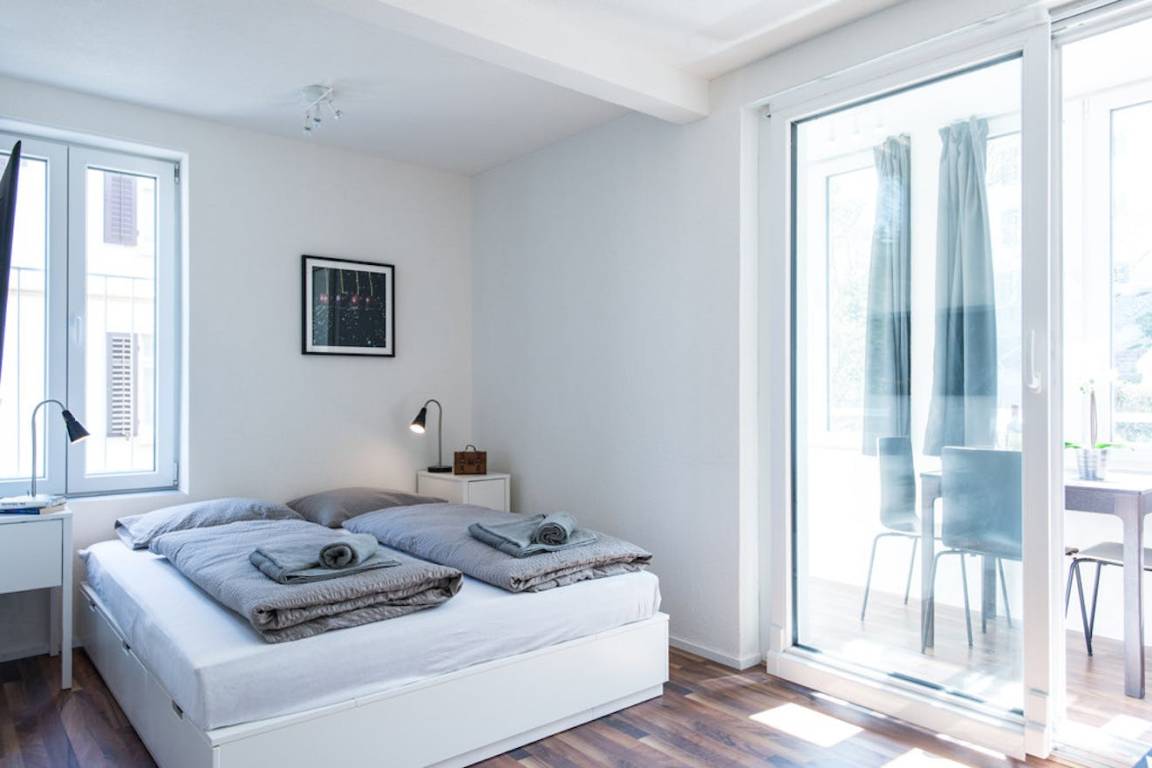 29 M² アパートメント ∙ ゲスト3 人 - スイス チューリッヒ