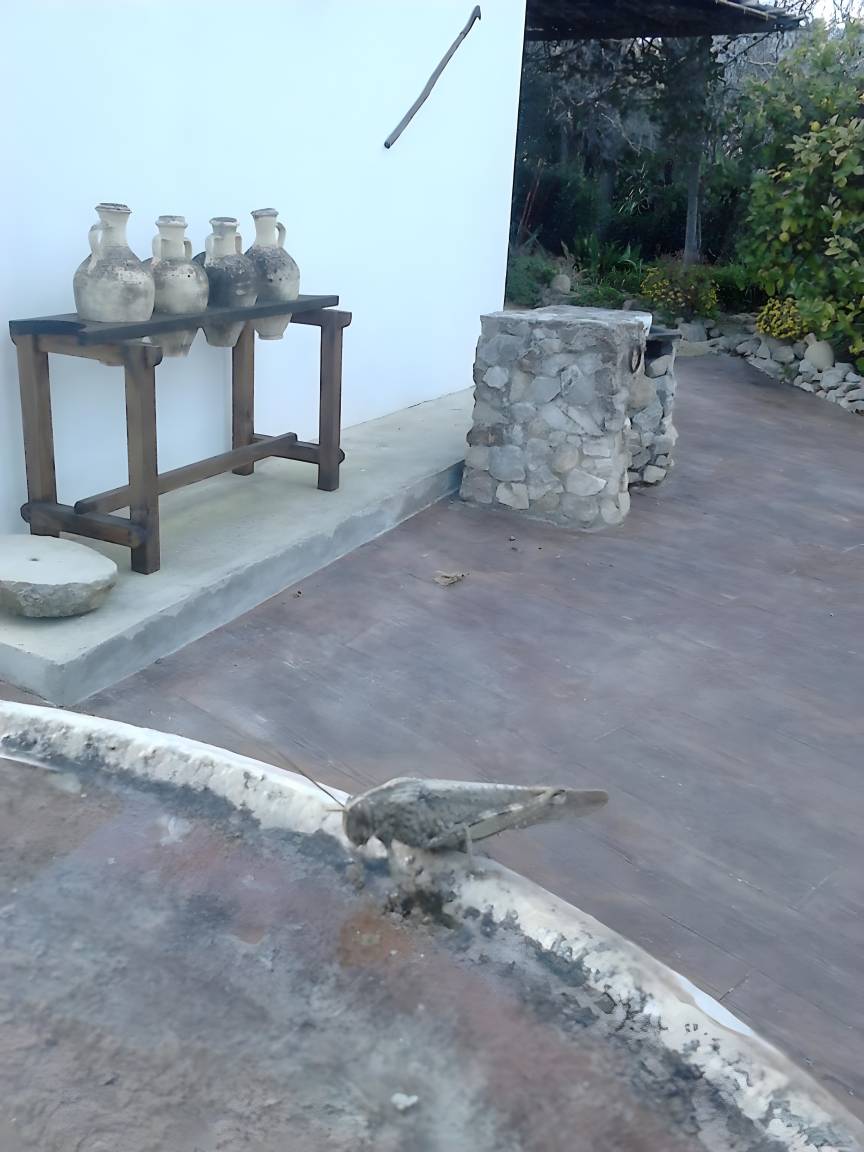 15 M² Aparthotel ∙ 2 Camere Da Letto ∙ 4 Ospiti - Barbate