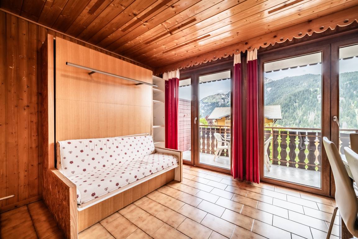 24 M² Aparthotel ∙ 1 Chambre ∙ 4 Personnes - Châtel