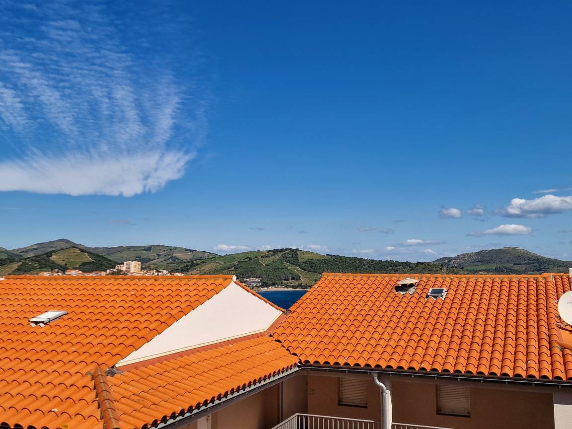 30 M² Appartement ∙ 1 Chambre ∙ 4 Personnes - Banyuls-sur-Mer