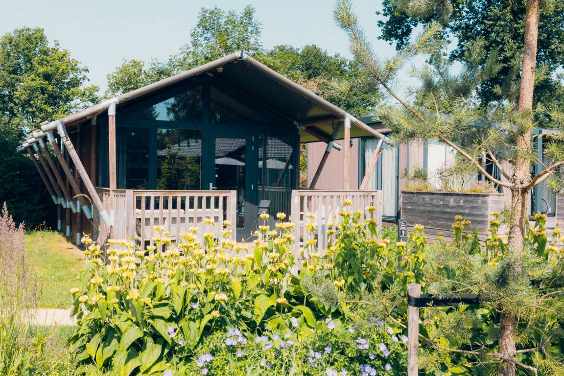 30 M² Bungalow ∙ 2 Bedrooms ∙ 4 Guests - Barneveld