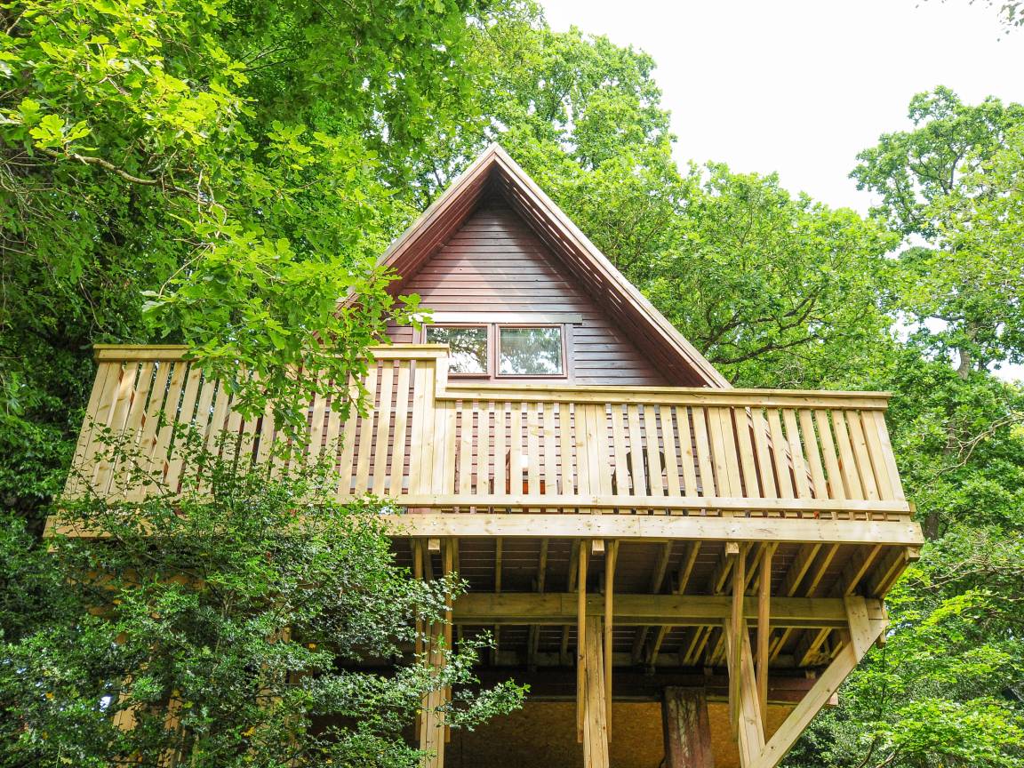 Cottage ∙ 3 Bedrooms ∙ 6 Guests - Newton Abbot