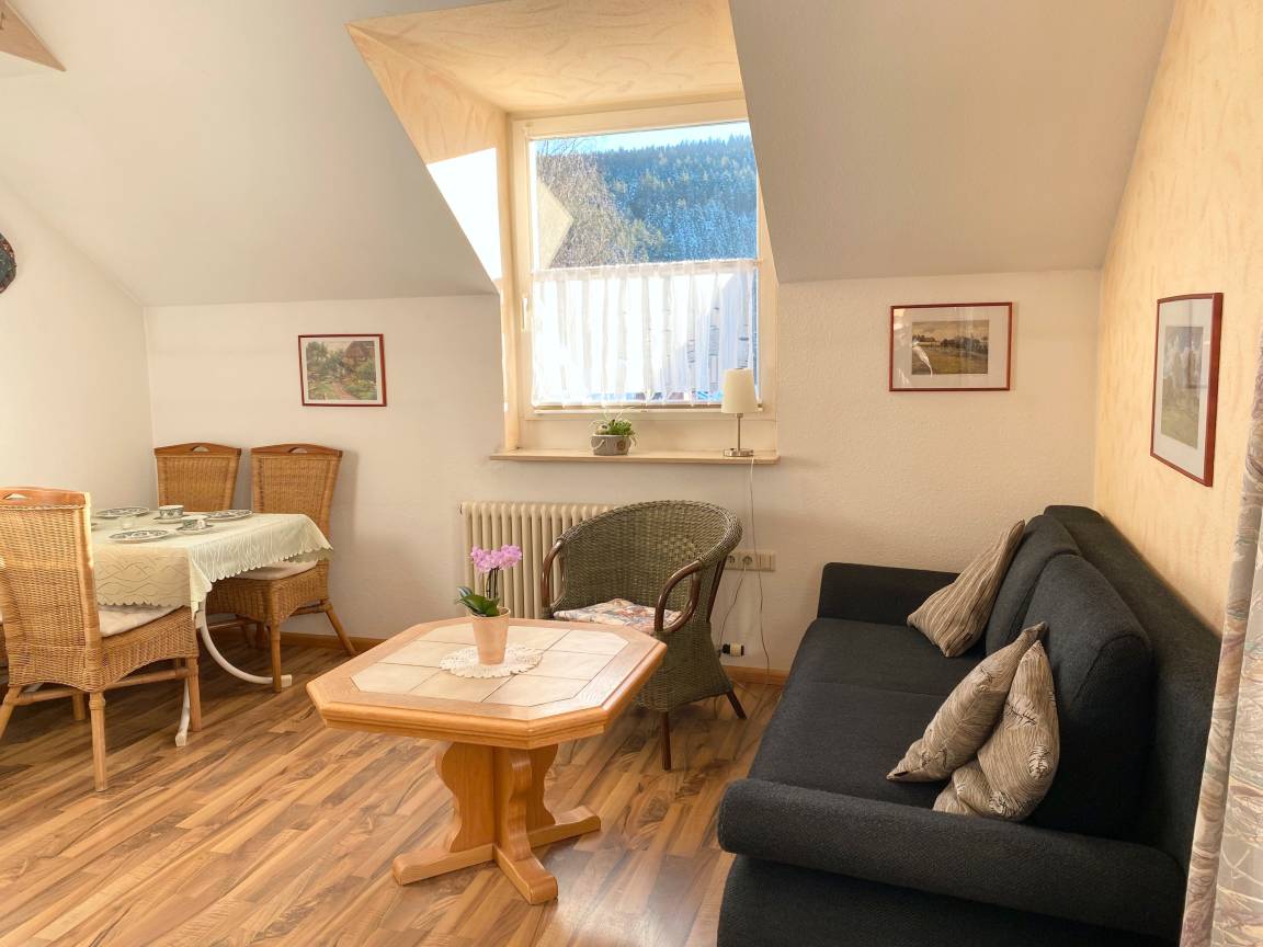 30 M² Apartment ∙ 1 Bedroom ∙ 4 Guests - Schiltach