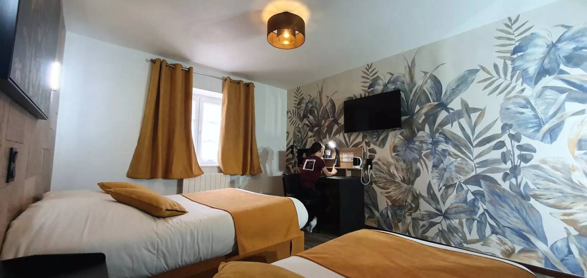 Hôtel ∙ 1 Chambre ∙ 3 Personnes - Pont-de-Vaux