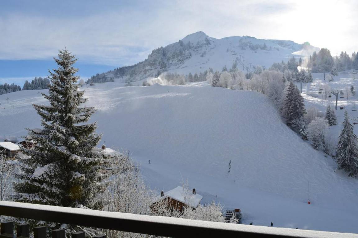 22 M² Appartement ∙ 1 Chambre ∙ 4 Personnes - Le Grand-Bornand