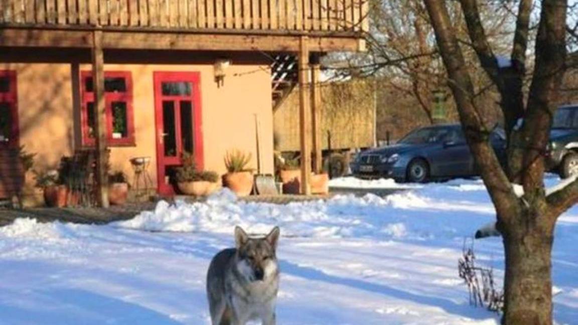 24 M² Hotel ∙ 2 Gäste - Mecklenburgische Seenplatte