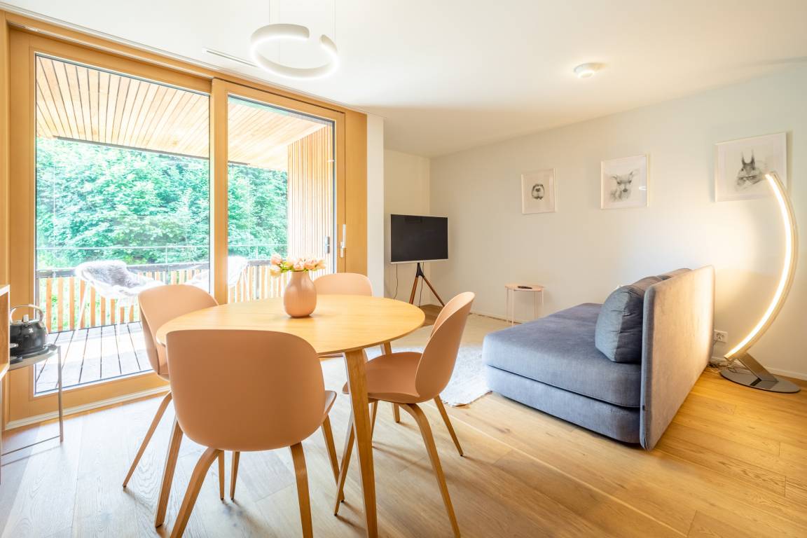 49 M² Apartment ∙ 1 Bedroom ∙ 3 Guests - Flims