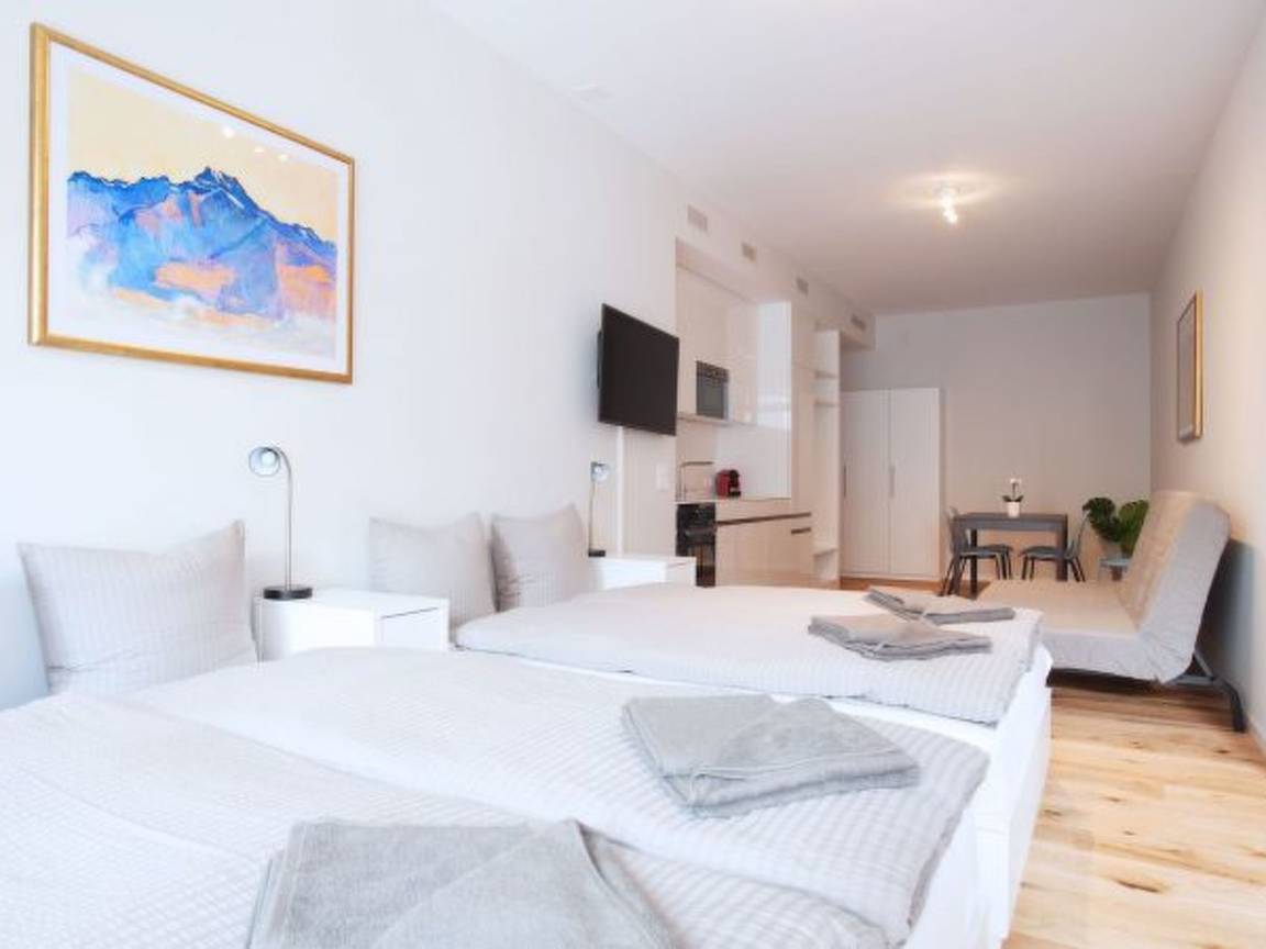 45 M² Apartamento ∙ 1 Habitación ∙ 4 Huéspedes - Basel