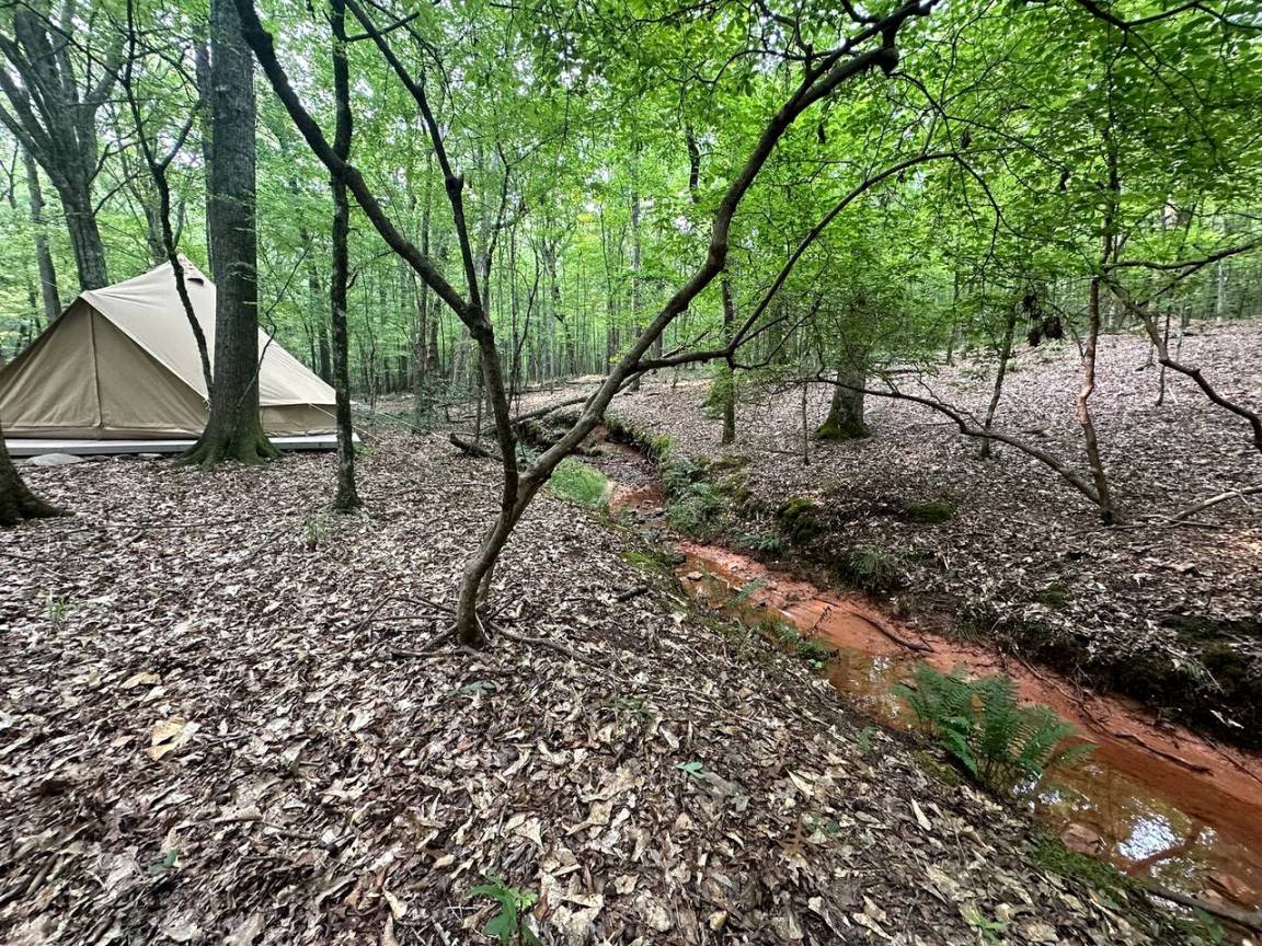 キャンプ ∙ 寝室: 1 ∙ ゲスト2 人 - ジョージア州