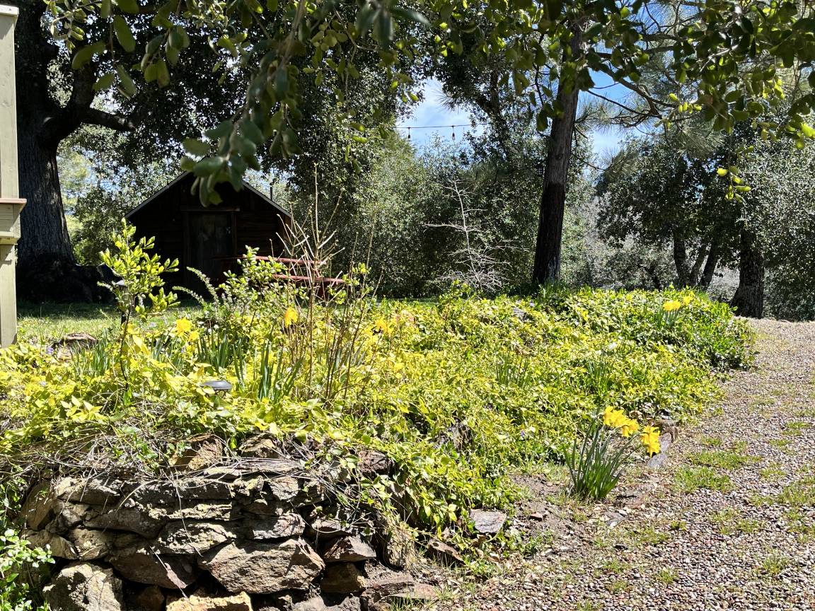 Cabin ∙ 2 Bedrooms ∙ 2 Guests - Julian, CA