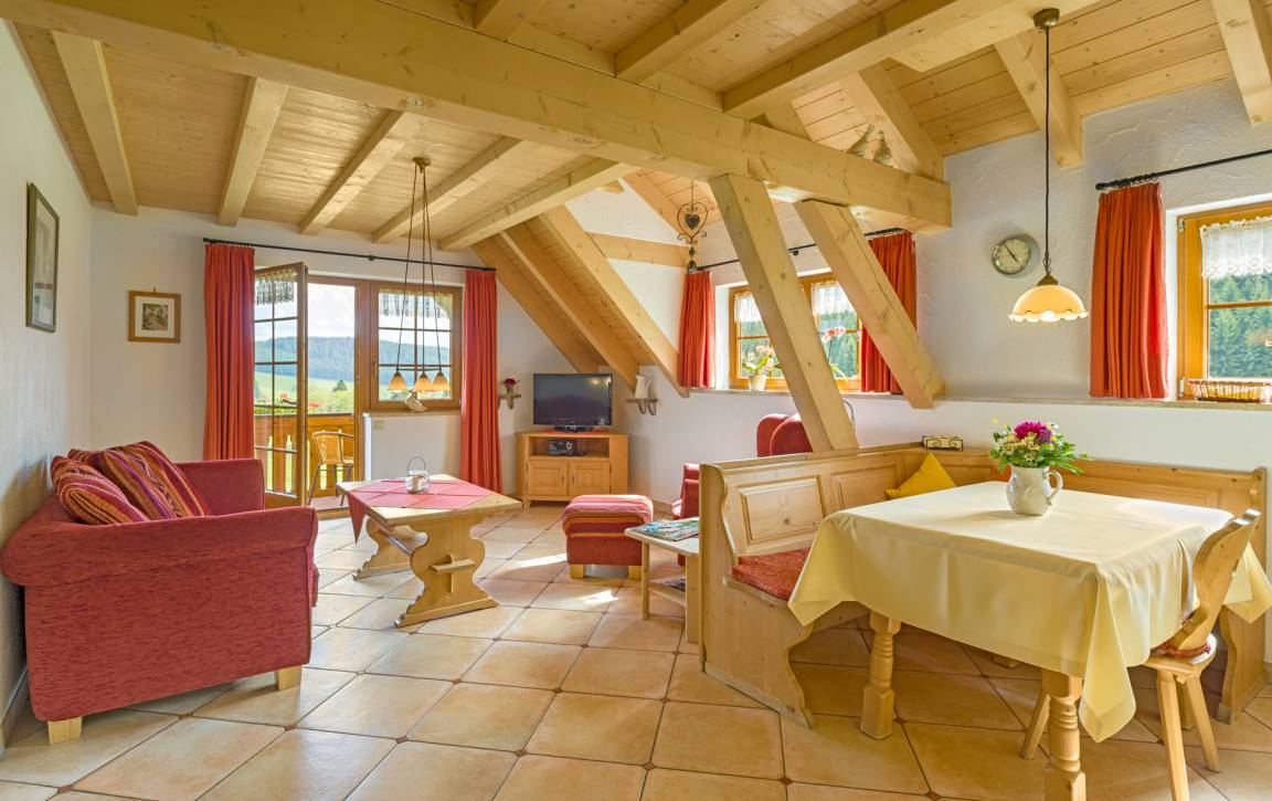 75 M² Apartment ∙ 2 Bedrooms ∙ 4 Guests - Titisee-Neustadt