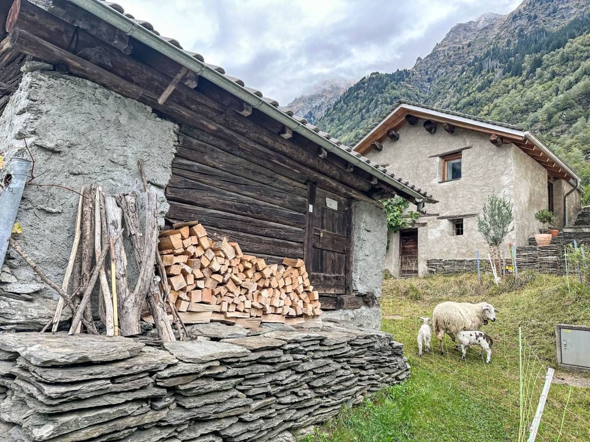 120 M² Huis ∙ 4 Slaapkamers ∙ 9 Gasten - Madesimo