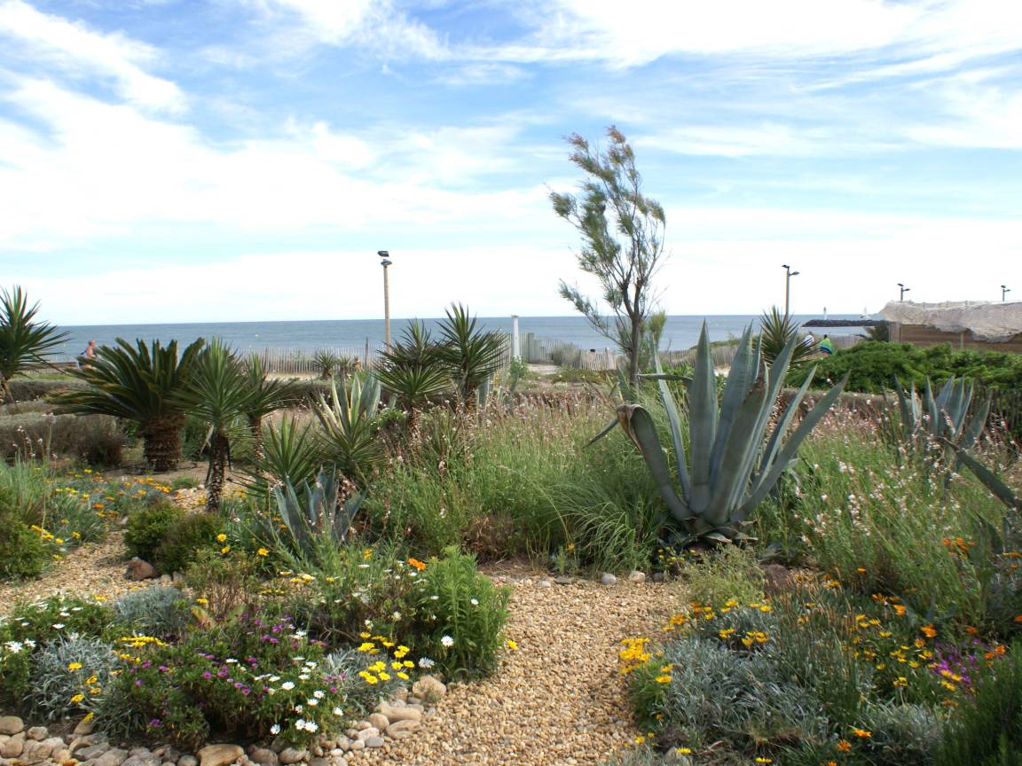 45 M² Appartement ∙ 2 Chambres ∙ 4 Personnes - Marseillan