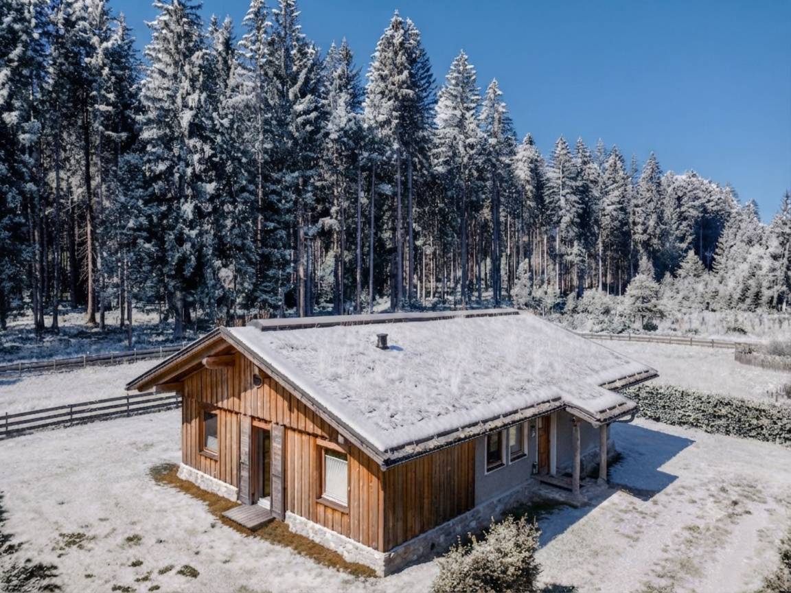 95 M² Chalet ∙ 2 Schlafzimmer ∙ 5 Gäste - Nassfeld