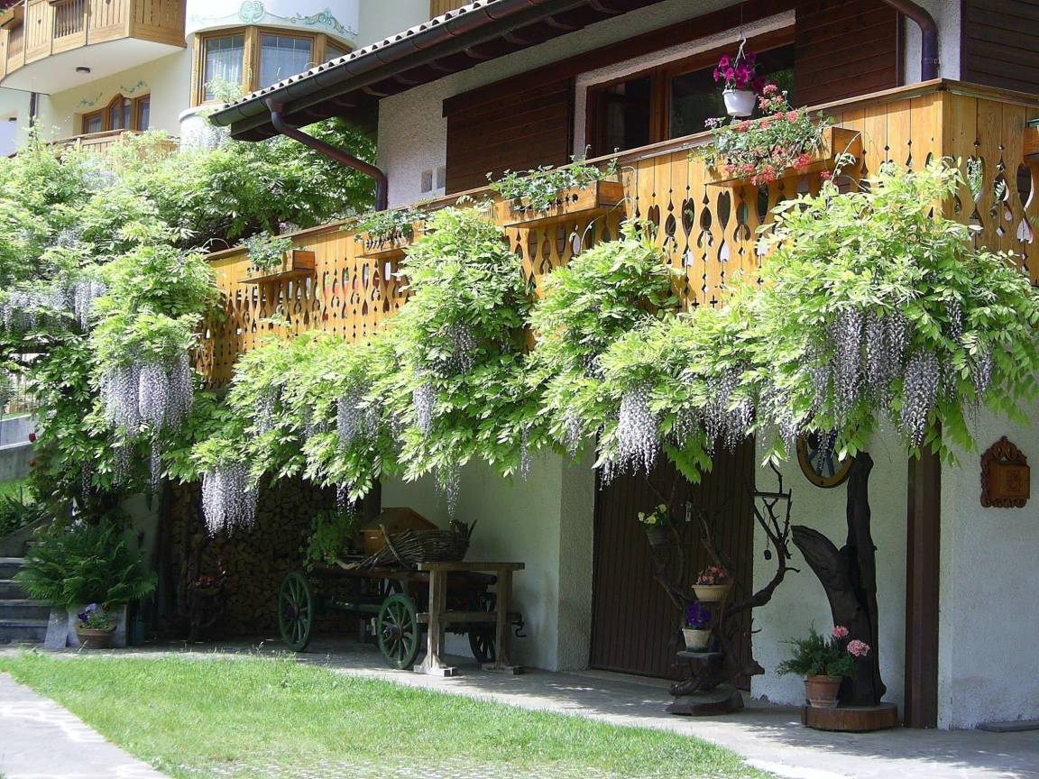 90 M² Appartement ∙ 2 Chambres ∙ 6 Personnes - Molveno